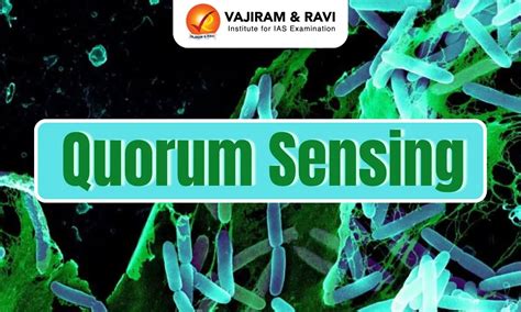 Quorum Sensing Meaning Main Components Latest News