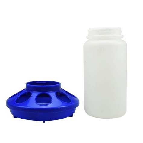 Poultry Chicken Drinking Feeding Tools Red Blue Pl Grandado