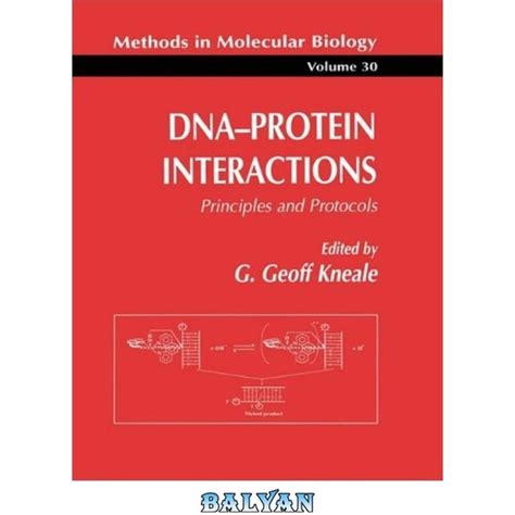 خرید و قیمت دانلود کتاب Dna Protein Interactions Principles And