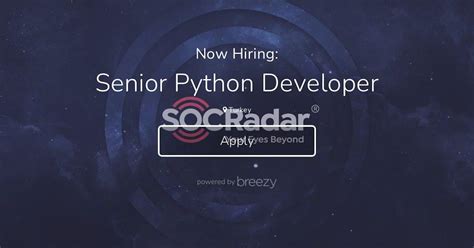 Senior Python Developer At Socradar Burak G