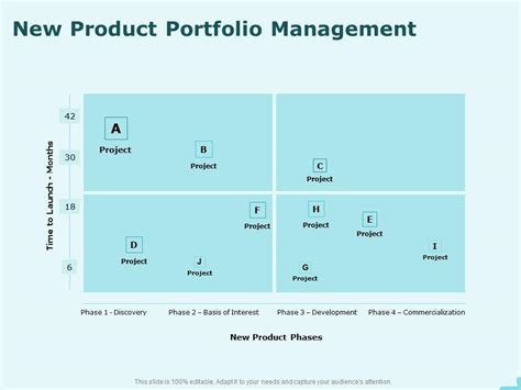 New Product Portfolio Management Phases Ppt Powerpoint Presentation Styles Diagrams Powerpoint