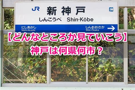 公園の地図記号がない理由は？【ピクトグラムはある】 ｜ 教えたがりダッシュ！