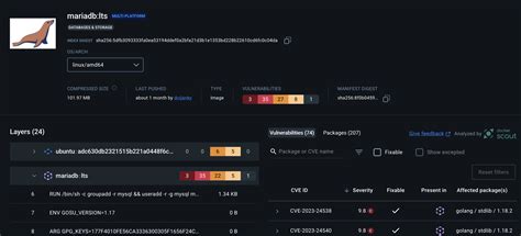 Security Is Using A Custom MariaDB Docker Image Advisable Server Fault