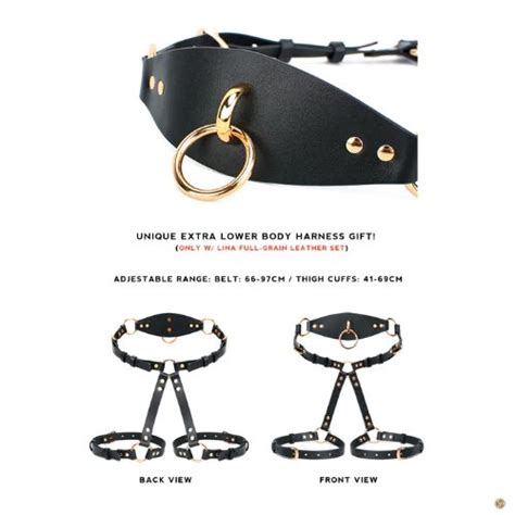 Luxury Bdsm Briefcase Full Grain Leather Set Sexshopcy