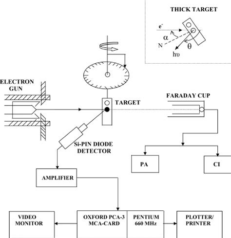 Schematic Diagram Of The Experimental Set Up PA Picoammeter CI Download Scientific