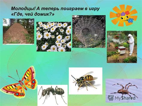 Презентация на тему: "Конспект НОД «УДИВИТЕЛЬНЫЙ МИР НАСЕКОМЫХ» для ...