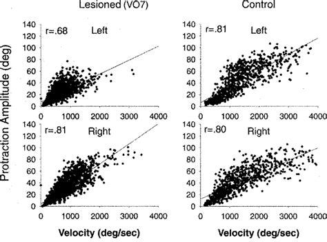 Amplitude Scaling Functions In A Lesion And A Control Animal Left Download Scientific Diagram