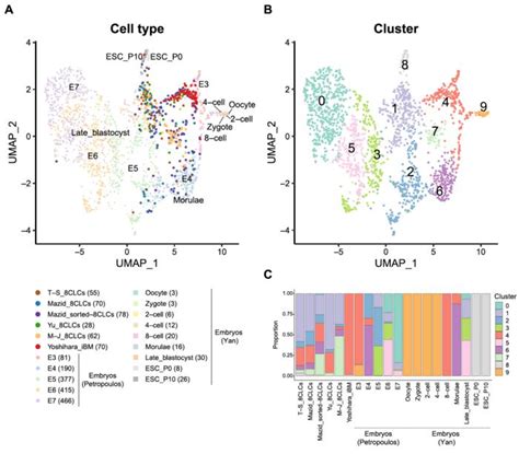 Comparative Analysis Of Scrna Image Eurekalert Science News Releases