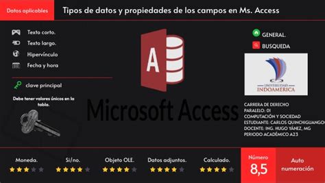 Tipos De Datos Y Propiedades De Los Campos En Ms Access Genially