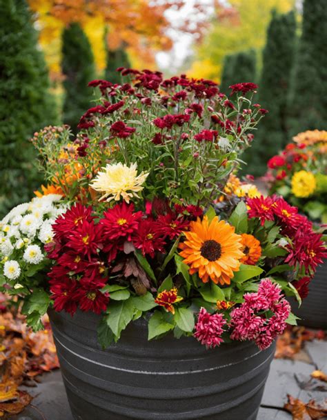 11 Stunning Fall Flower Arrangements For Pots Bigger Garden