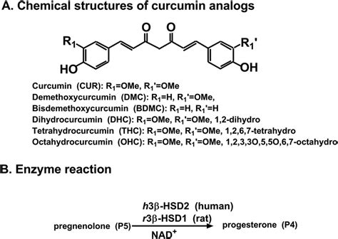 Chemical Structures Of Curcumin Analogues And Reaction Of Download