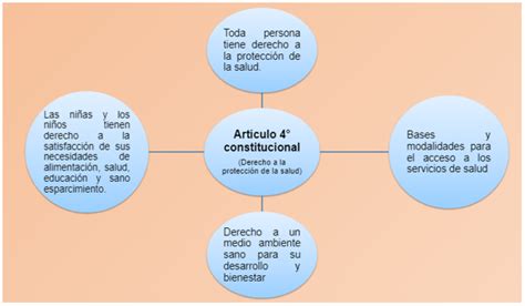 Mis Derechos A La Salud Y La Protección Civismo Segundo De Secundaria