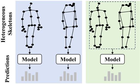 [论文审查] Heterogeneous Skeleton Based Action Representation Learning
