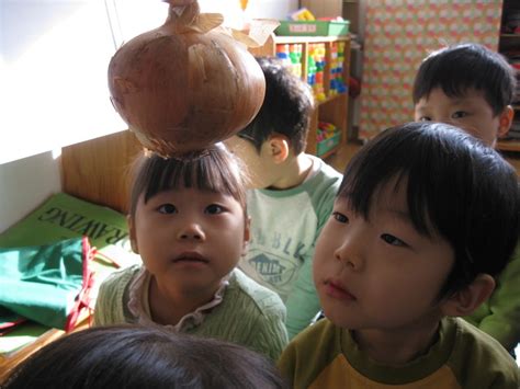 양파 키우기양파싹 기르기양파 수경재배양파싹 틔우기 ┏한결농장 공개┓ 한결어린이집