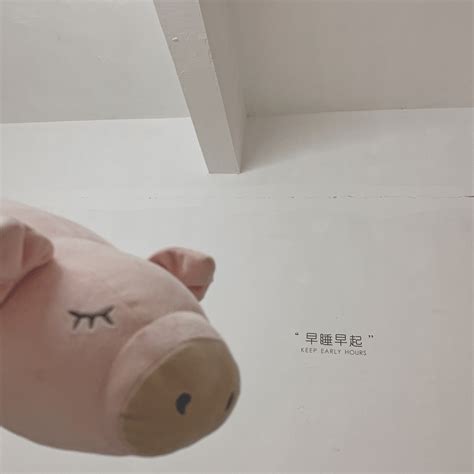 早睡早起 高清图片堆糖美图壁纸兴趣社区
