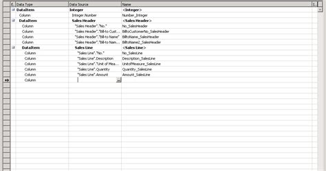 Navision For Beginners Report Multiple Copies In Nav Only Multiple