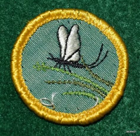 Girl Scout Cadette Badge Cheesecloth Back Insect Free Shipping £3