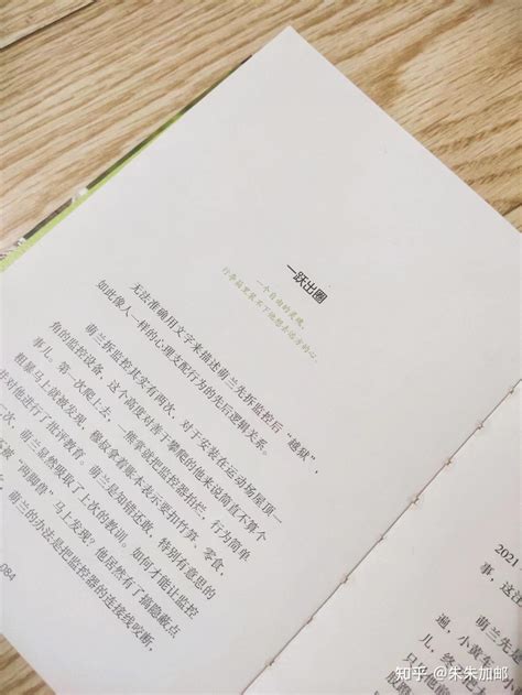 熊猫萌兰：“西直门三太子”的整活儿名场面 知乎