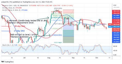 Binance Coin Falls To 256 Threatens Another Crash