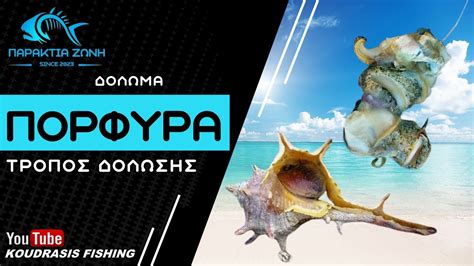 ΨΑΡΕΜΑ ΚΑΙ ΔΟΛΩΜΑΤΑ ️ ΠΟΡΦΥΡΑ [ΜΑΤΙ] Youtube