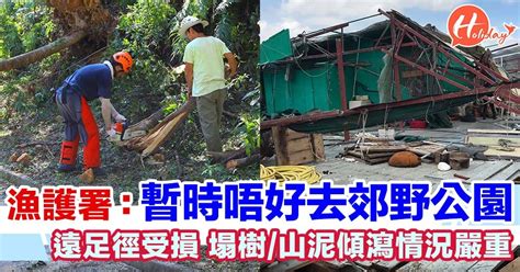 【又關山竹事】12個郊區災情嚴峻 郊外塌樹嚴重 行山徑受損