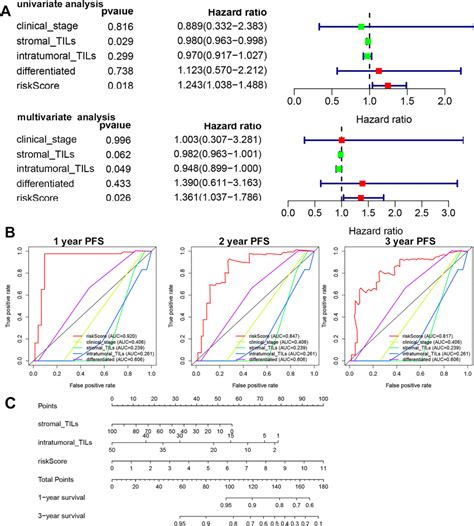 The Independent Predictive Analysis A Cox Regression Analyses To Download Scientific Diagram