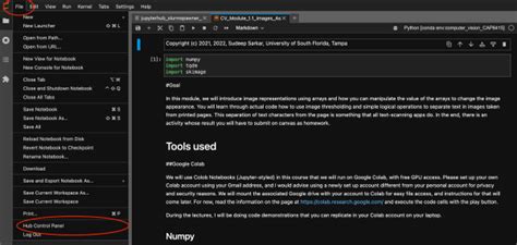 Gaivis Jupyterhub For Cap6415 Computer Vision [gaivi Documentation]