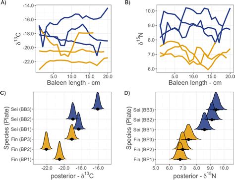 A Variation In δ¹³c Values Of Incremental Samples From Baleen Plates Of