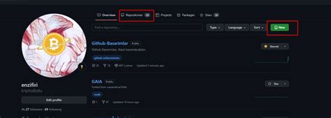 Github Enzifirigithub Achievements How To Earn Github Achievements