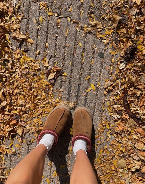 Ugg Tazz Slippers Fall Aesthetic Uggs Slipper Outfit Shoe Wishlist