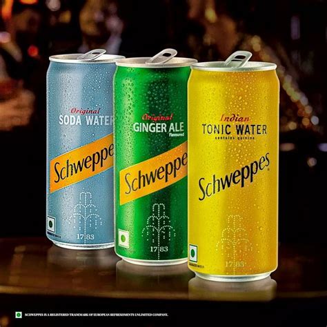 Schweppes Tonic Water 300ml At ₹ 960bottle Santacruz West Mumbai
