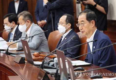 국무회의서 발언하는 한덕수 총리 연합뉴스
