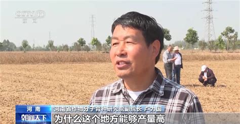 全国秋粮已收获77 冬小麦冬油菜播种有序推进香港日报社会