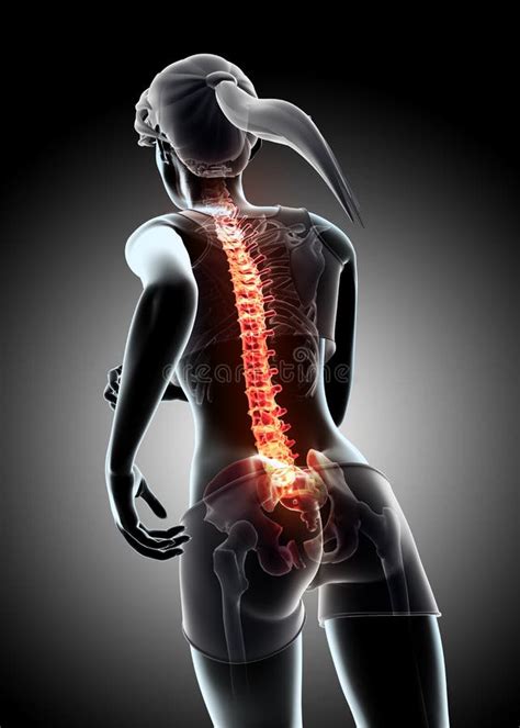 D Illustration Female Run And X Ray Spine Position Stock Illustration Illustration Of