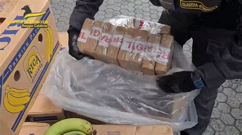 کشف بیش از ۲۵ تن کوکائین در ایتالیا در جعبه‌های موز فیلم