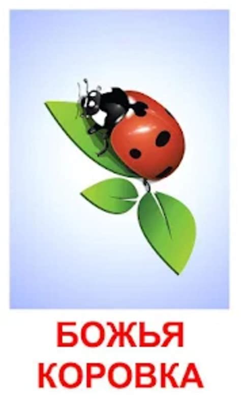 Учим слова карточки для детей For Android Download