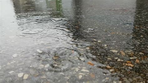 아스팔트 도로 바닥에 떨어지는 빗방울 소리 Youtube