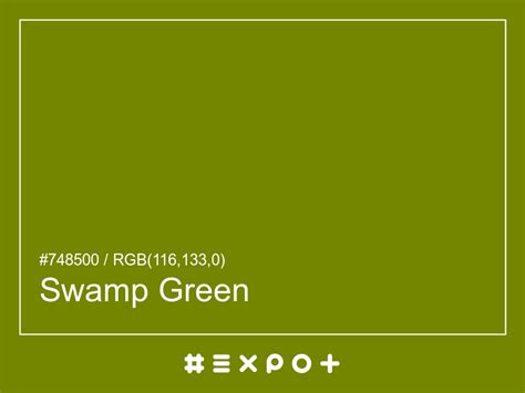 Swamp Green Color Information Better Alternatives Hexpot