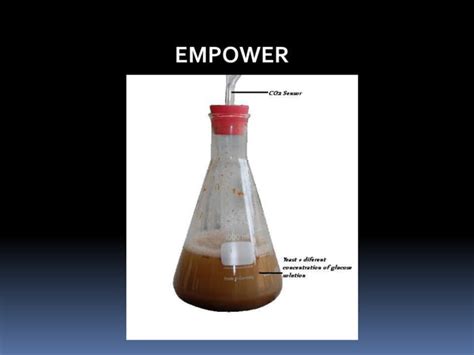 Anaerobic Respiration Data Logging Ppt