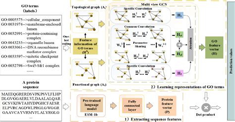 Figure 1 From Adaptive Multi View Graph Convolutional Network For Gene