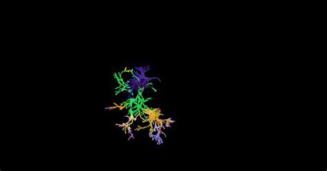 Experiment In Random Branching Trees Album On Imgur
