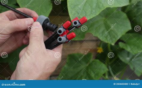 Drip Irrigation Installation Process Of Assembling A Drip Irrigation System For The Garden