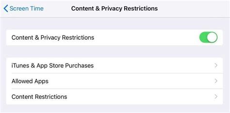 Turn Off Restrictions On IPad And Regain Full Access To Your Device