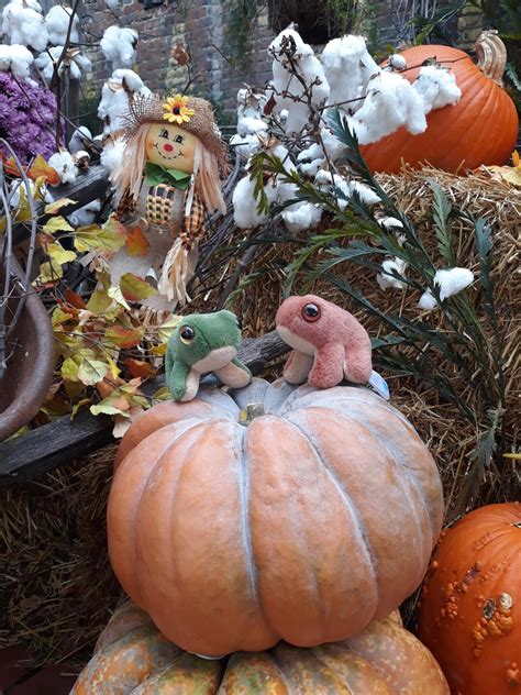 Frog And Toad Visit The Pumpkin Patch Rfrogs