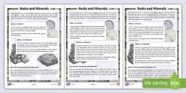 Label And Color The Soil Differentiated Activity For K 2nd Grade