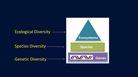 Biodiversity Concepts Levels And Values Ppt