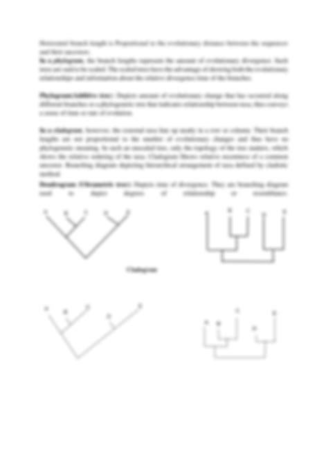 SOLUTION Exp Construction Of Phylogenetic Tree Studypool