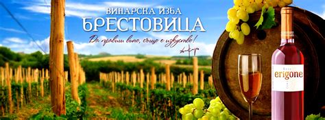 Sofia София Приложена сметка Iban Bg63stasa93000027894313 Bik Stsabgsf Бойко Борисов НАЛИ