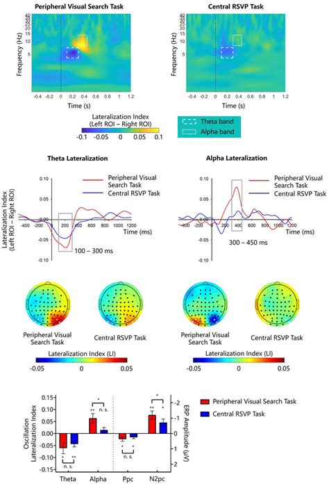 Lateralization Of Theta And Alpha Amplitudes In Experiment 1 A The Download Scientific