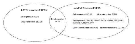 Over Representation Of Transcription Factor Binding Sites Tfbs Within